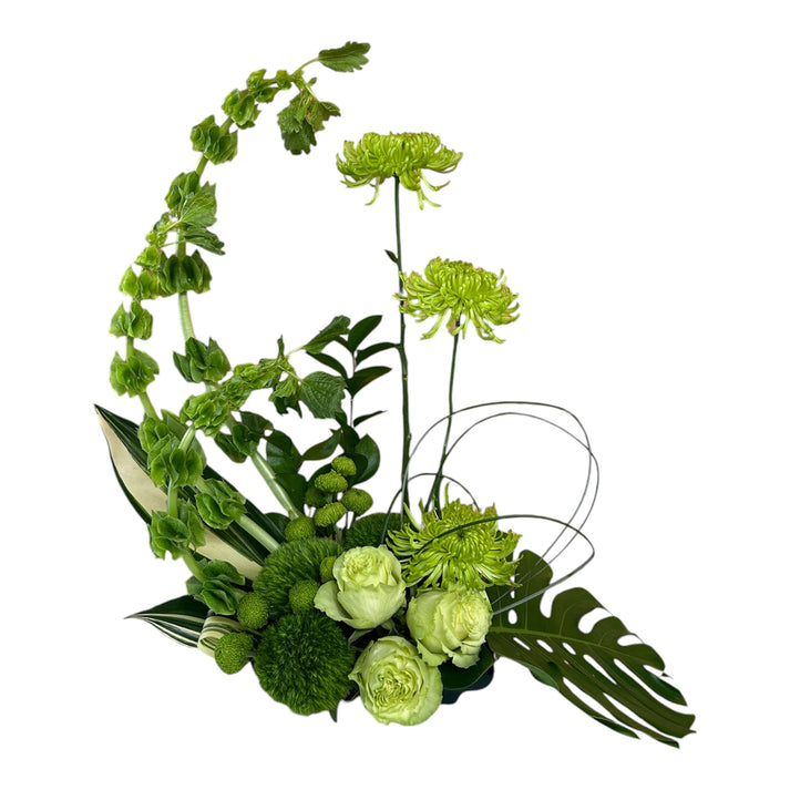 Lovely Lime – Fleuriste Glendenning Flowers